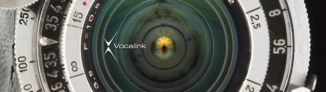 Vocalink Blog: Media Kit
