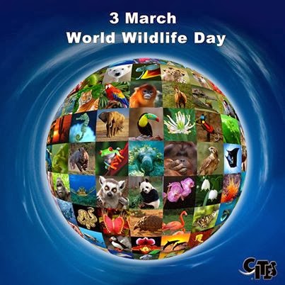 UN declares March 3 as World Wildlife Day - Brand Icon Image - Latest ...
