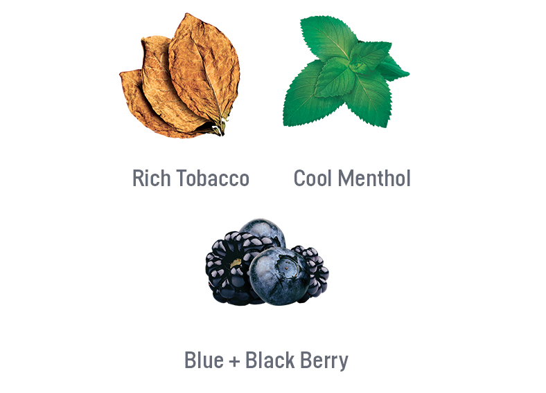 Lipstick & Watermelon: Njoy Daily E-cig