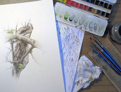 Matteo Grilli Wildlife Art: Silent Encounters - Part 2