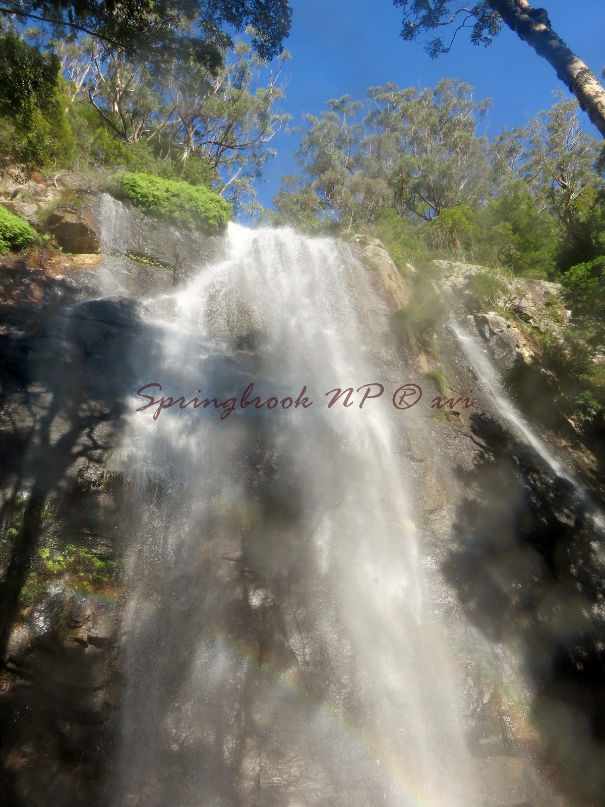 An Igorot Journey: The Waterfalls of Springbrook National Park