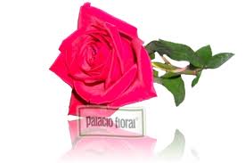 FLORERIA: Areglos de rosas