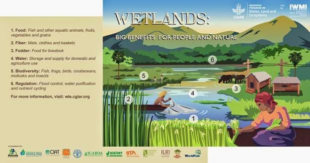 Genesis Eco Fund for Advanced Human Habitat: World Wetlands Day 2015 ...
