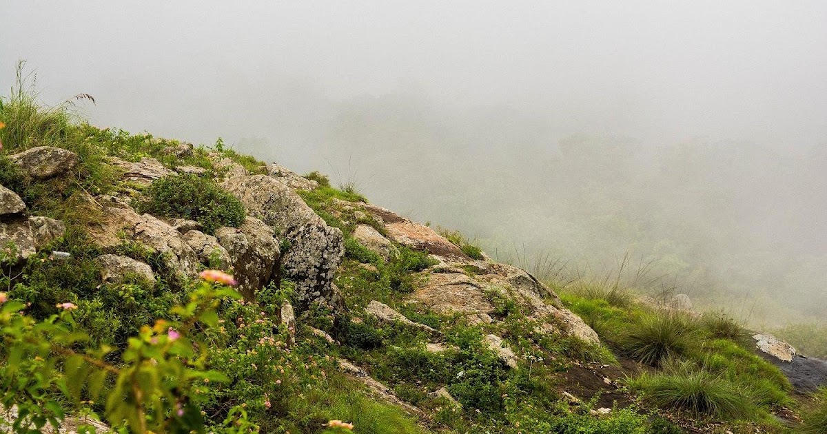 Tamilnadu Tourism: 32-Km Loop Road, Yercaud