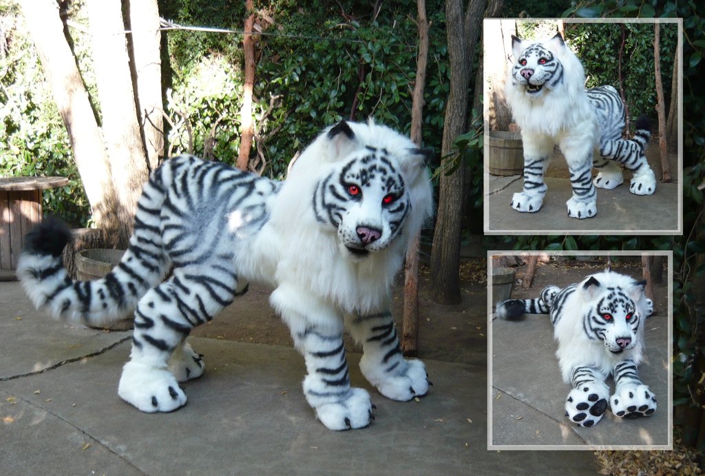 The Fur Side: Favorite Quad-Suits