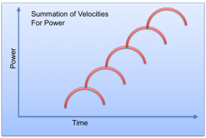 Punt Biomechanics Flinders University Education and Health sciences ...
