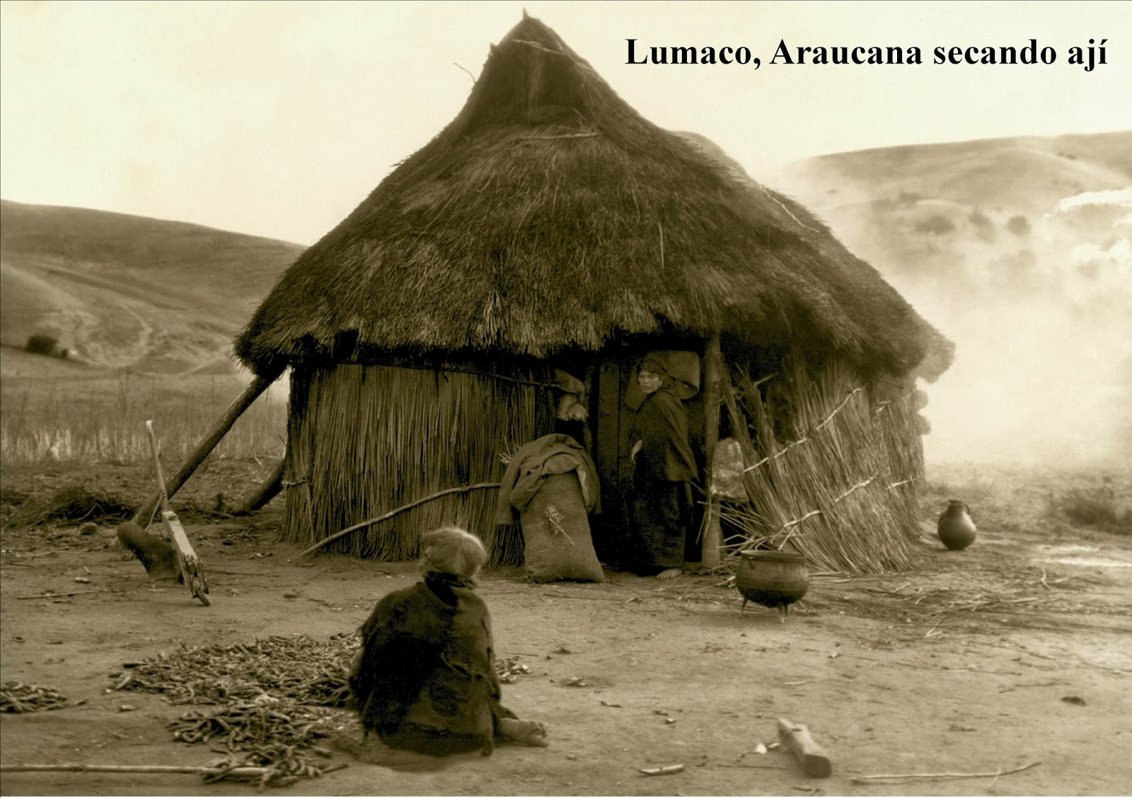 Imágenes de Chile del 1900: Lumaco, Victoria, Traiguén, Curacautín y ...