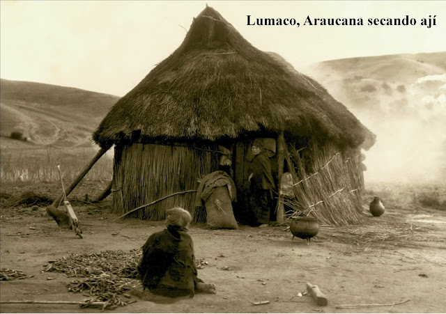 Imágenes de Chile del 1900: Lumaco, Victoria, Traiguén, Curacautín y ...
