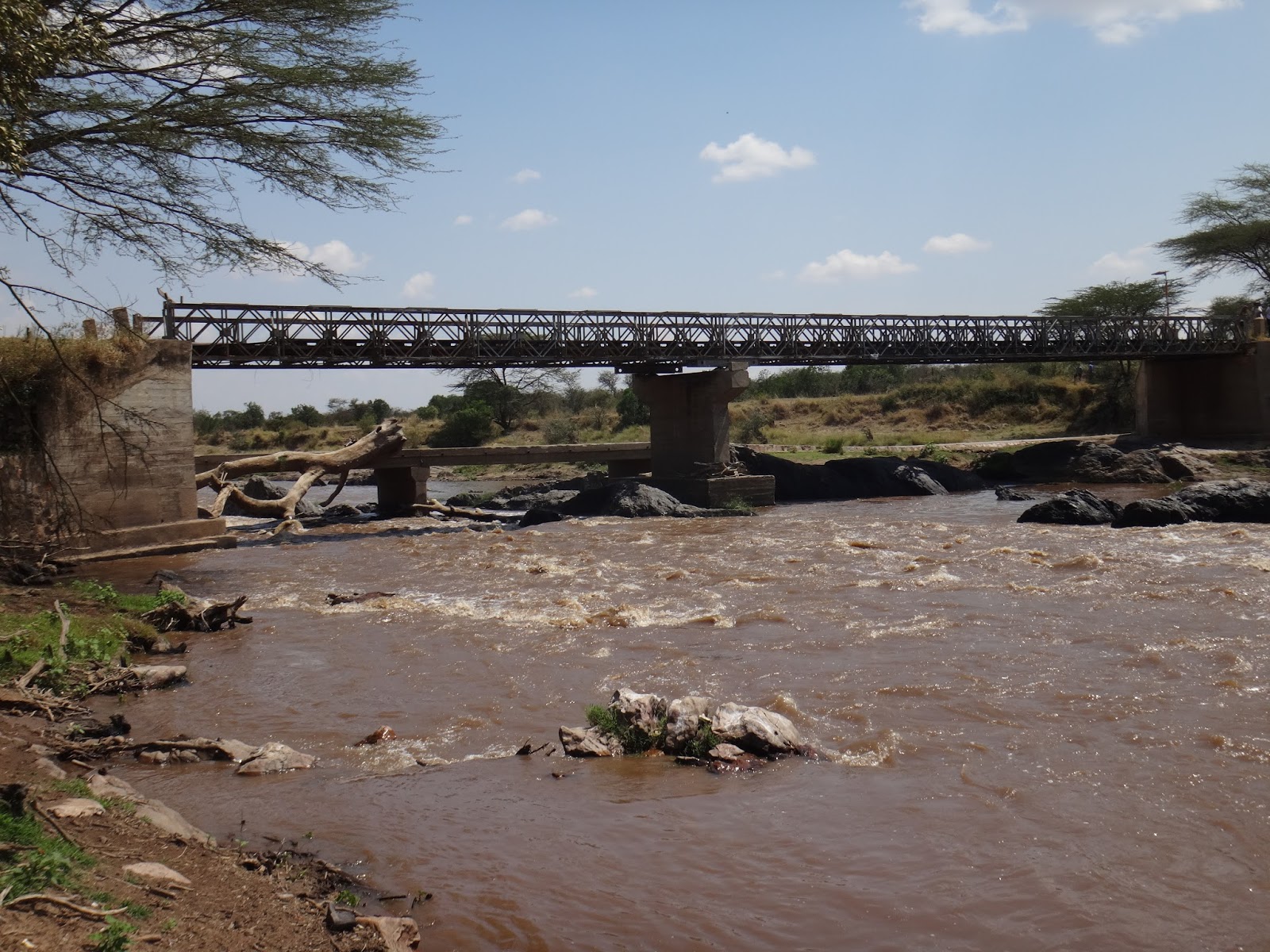 Adventures in the Mara: Live Data from the Mara River!