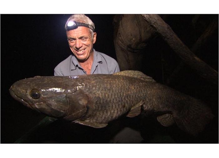 Killer Fish (111 pics) - STATIONGOSSIP