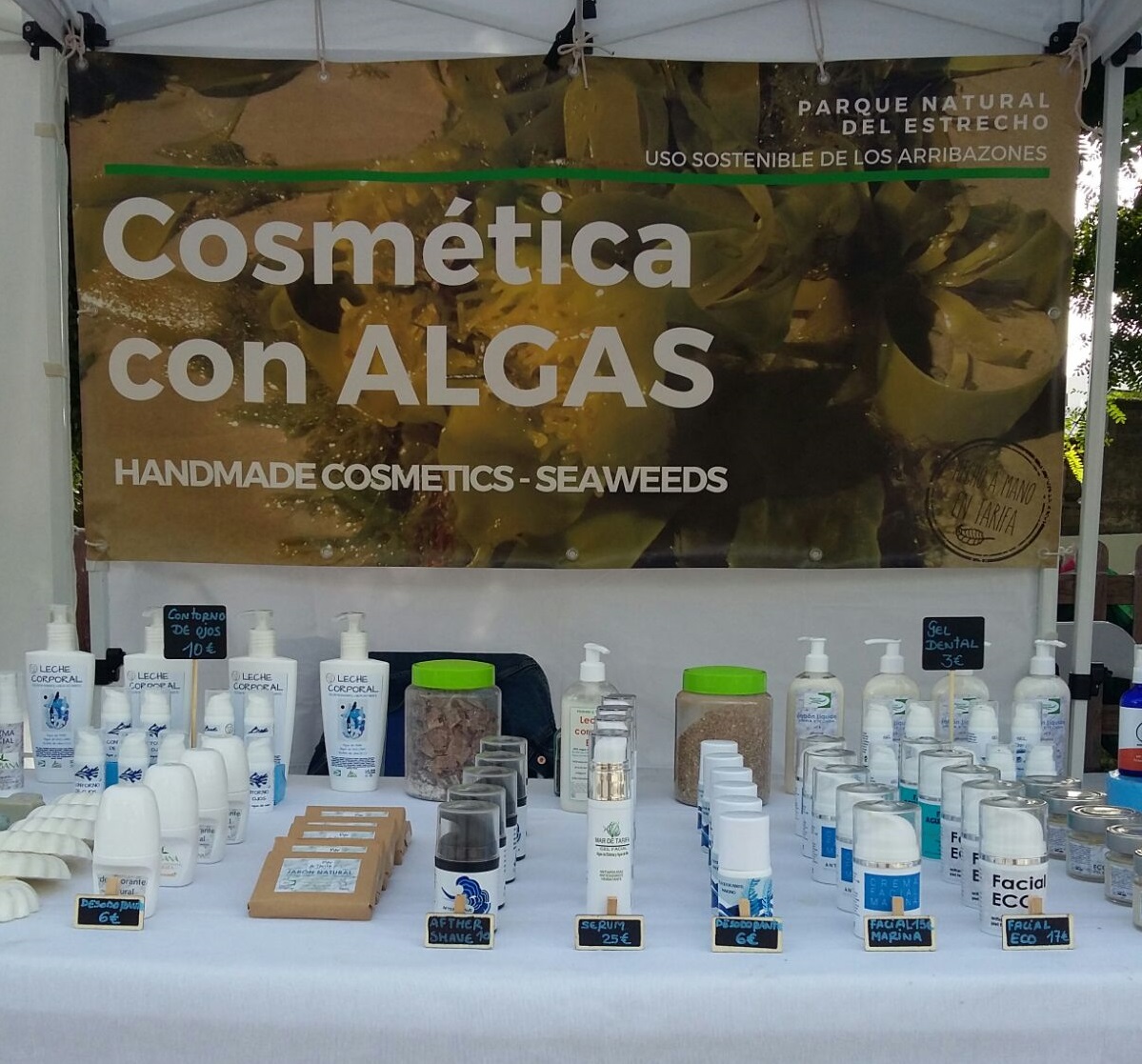 PROYECTO ALGAS: 2018