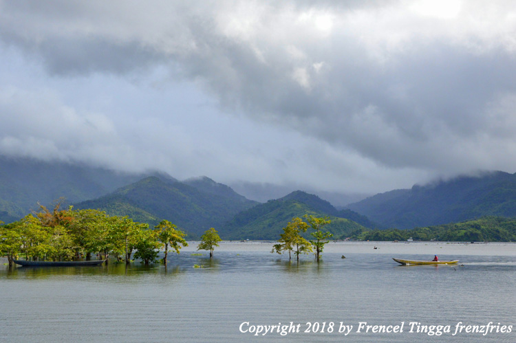 Frenz Fries: Lake Buhi Resort