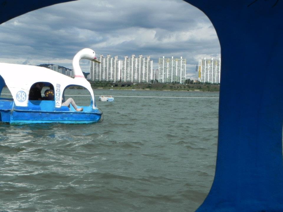 Josh and Leah's Korean Adventures: Korean Duck/Swan Boats