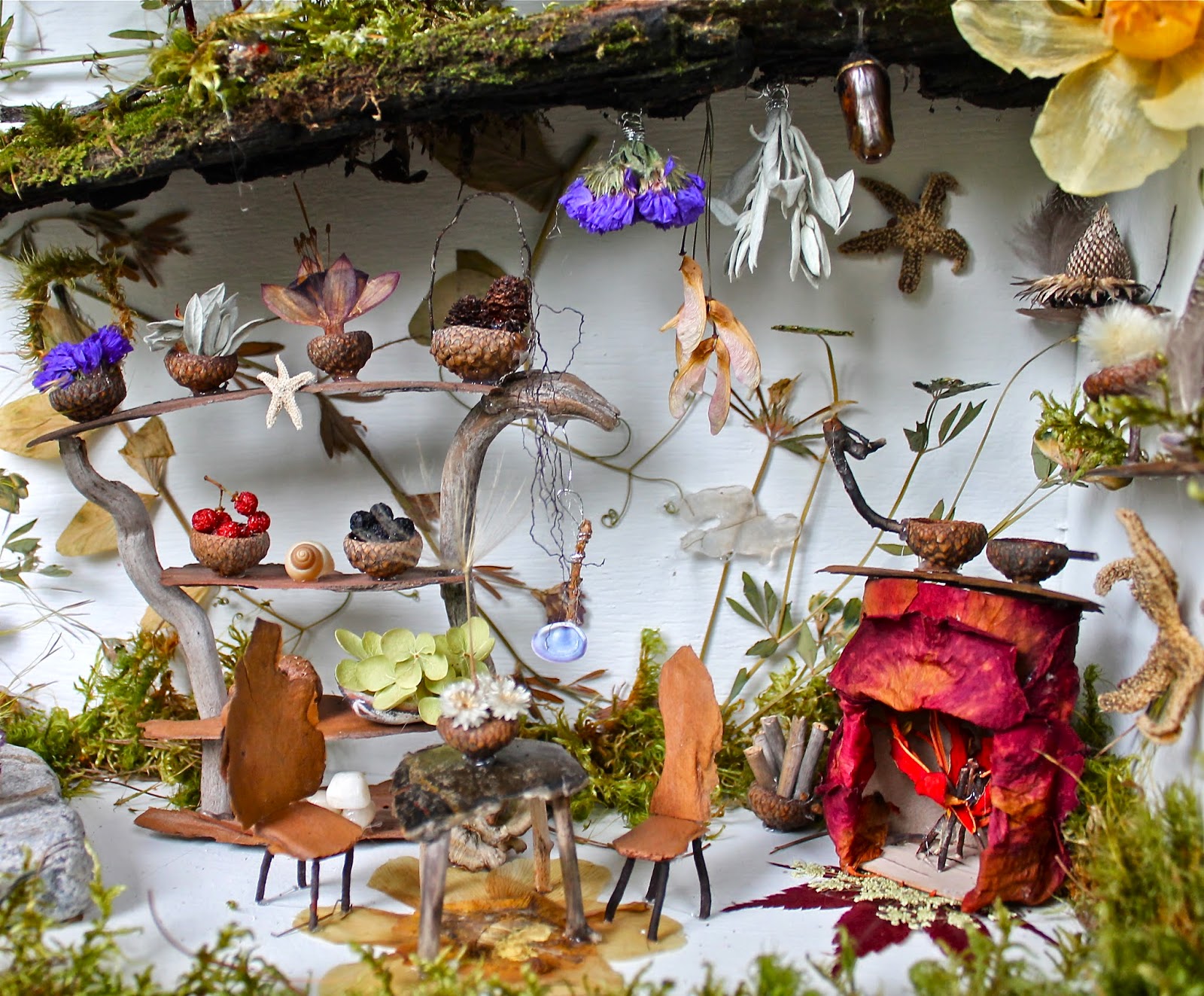 Twig and Toadstool: Fairy Garden Den