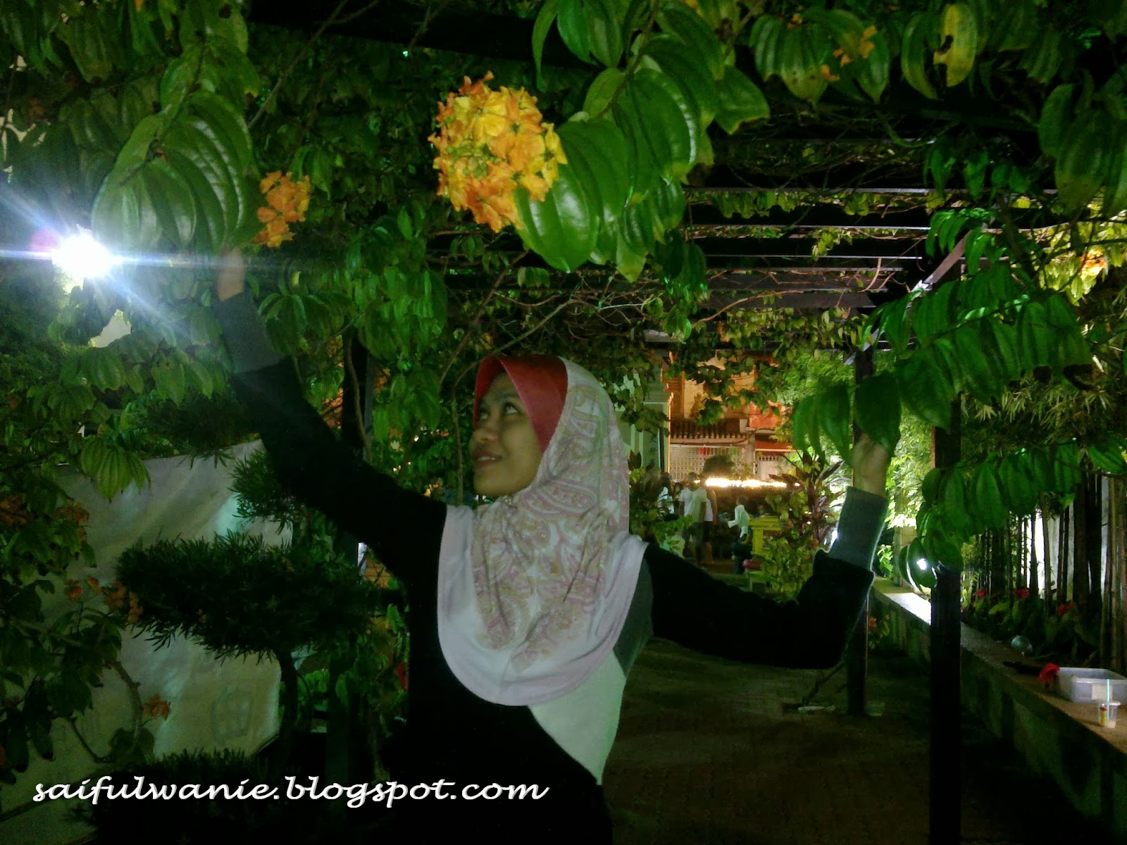 Si SaiFuLwAniE: Restoran Saba' Nasi Arab @ Jelatek, Setiawangsa.