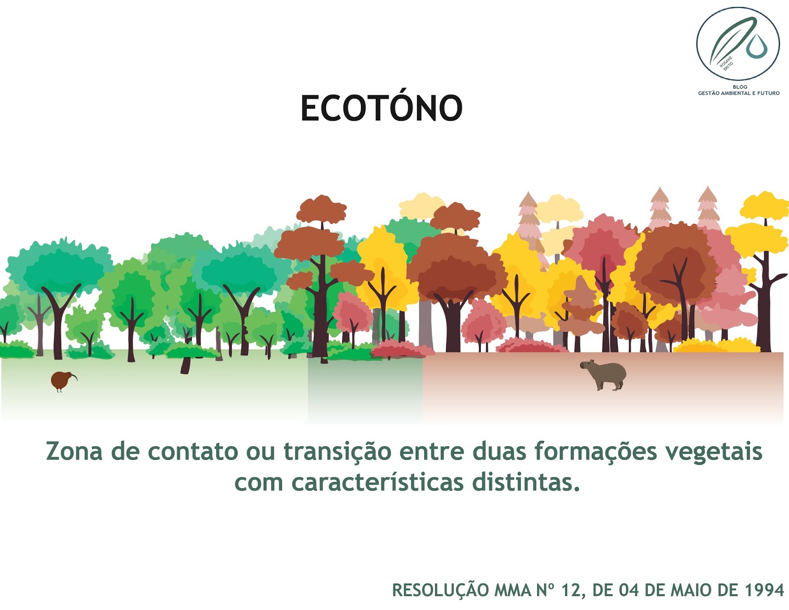 Gestão Ambiental e Futuro: Ecotóno