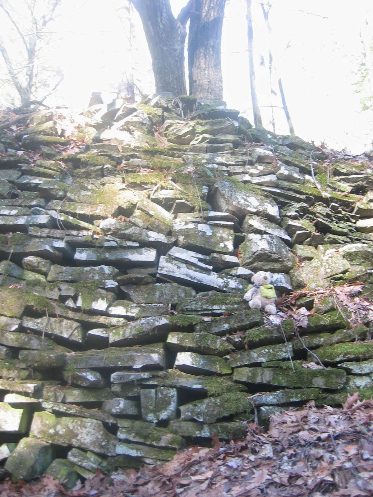Pre-historic stone works in the Town of Catskill