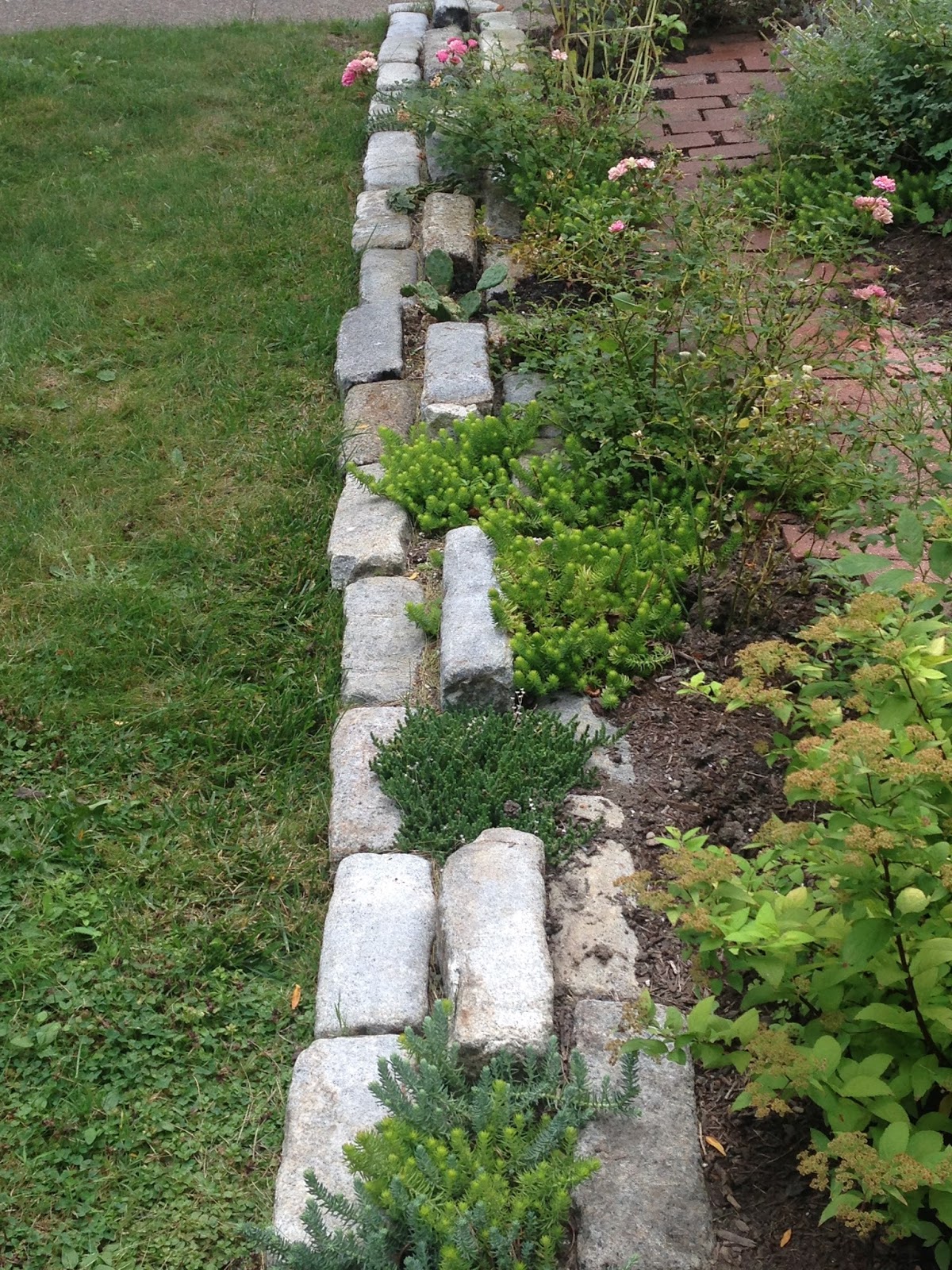 Gardening on the border