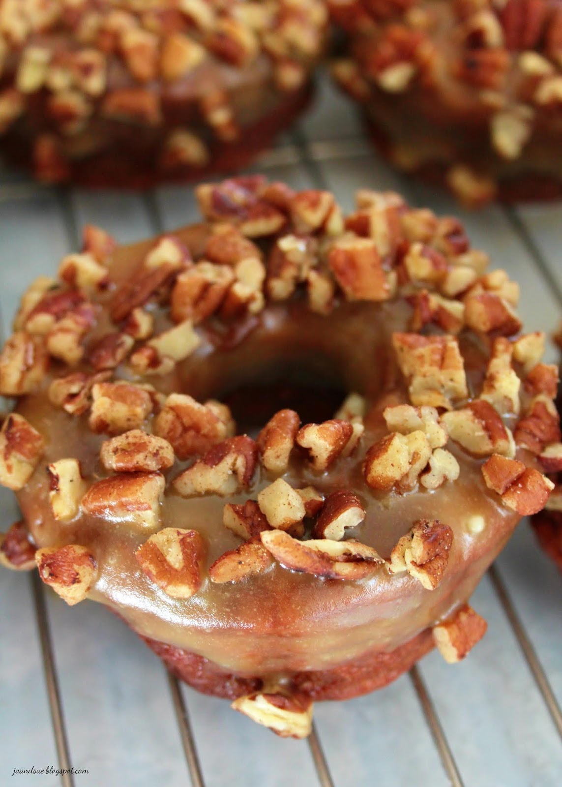 Jo and Sue: Turtle Donuts (Big Batch)