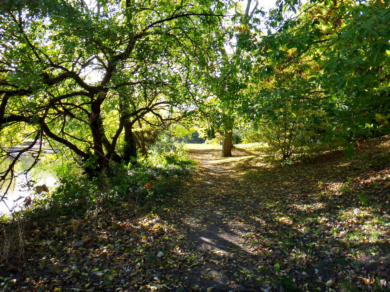 A perfect fall day around Riverside.....
