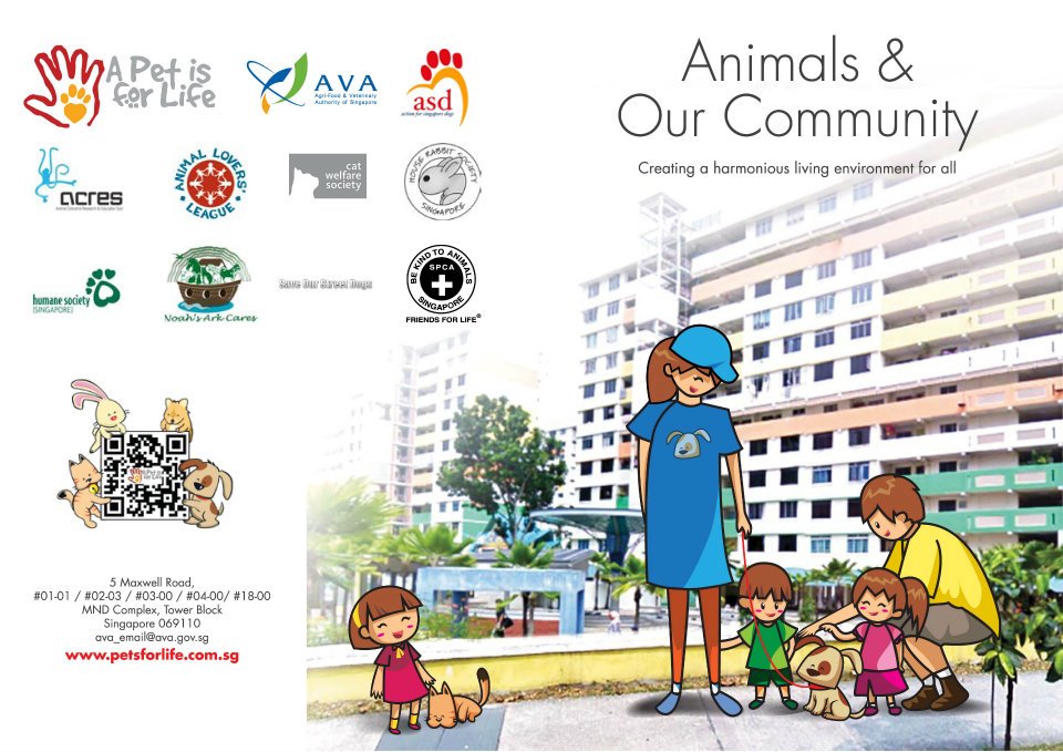 Singapore Community Cats: Animals & Our Community