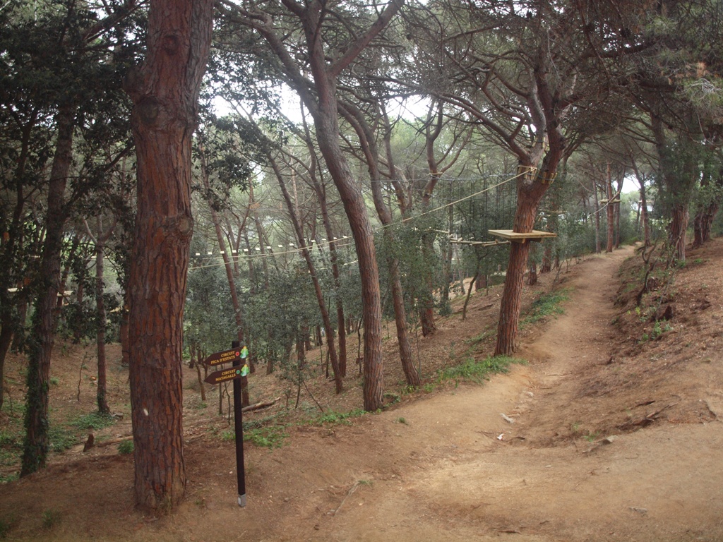 SOM DE PÍCNIC: Àrea de pícnic del Parc Forestal de Mataró, Maresme