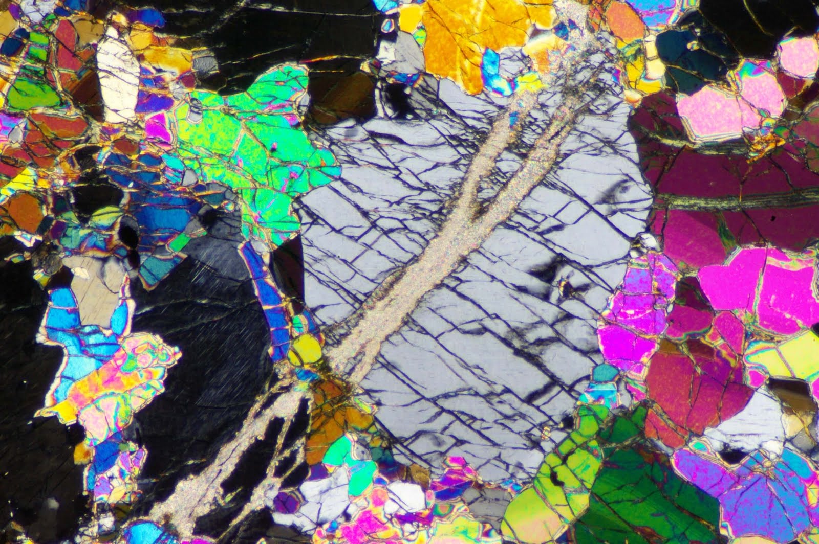Peridotites: Talc in pyroxene in Webster dunite