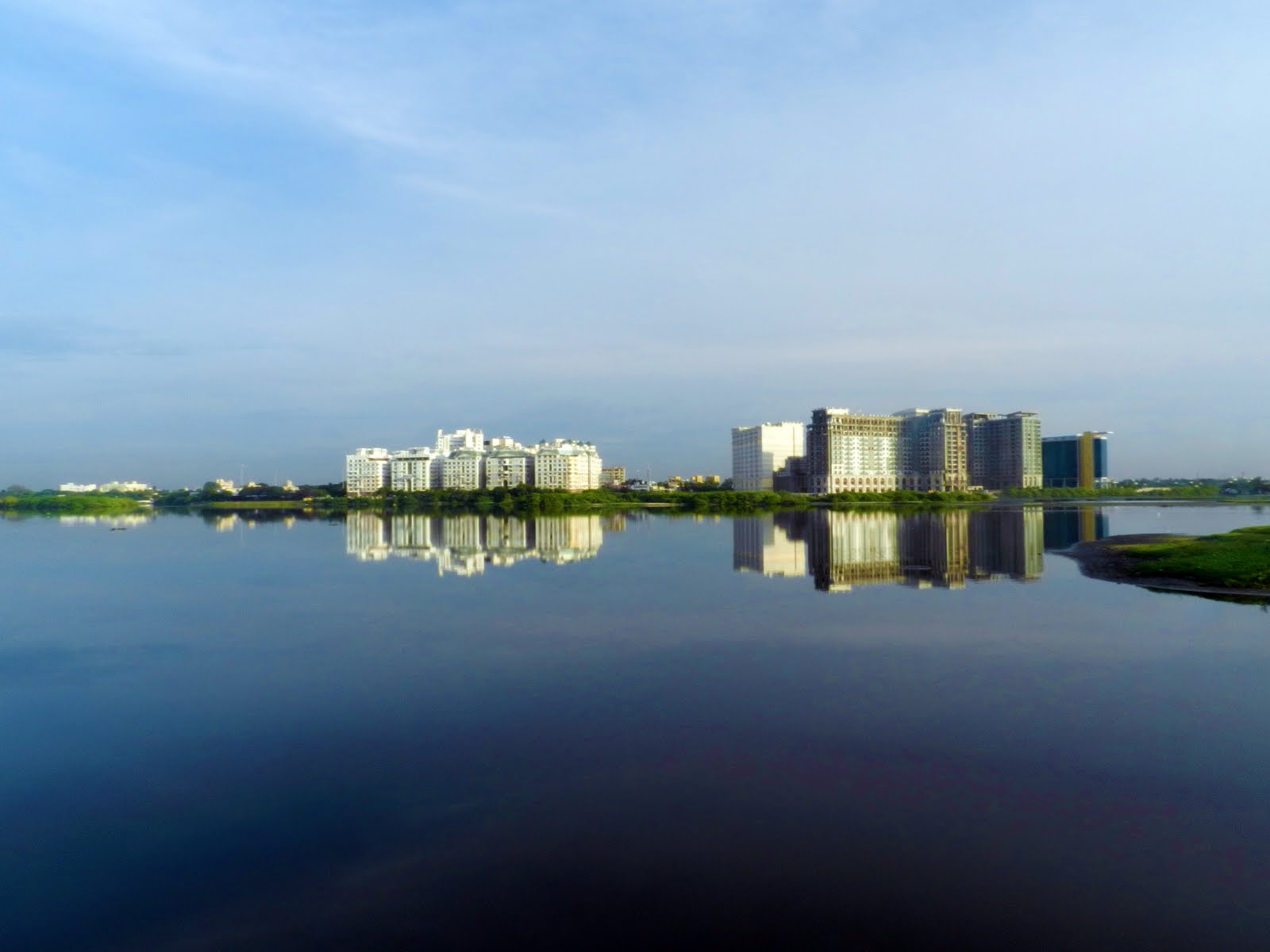 A Birder's Eye View: Adyar Estuary