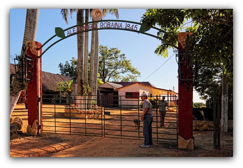 Wine MDQ: Vegas Robaina, mi habano preferido...