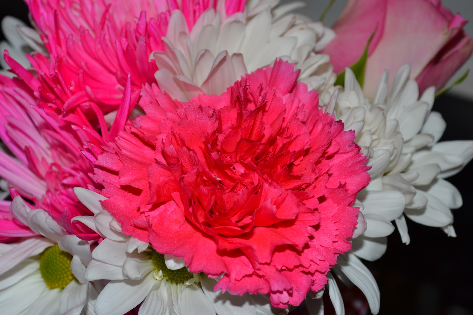 PITTMAN PHOTOGRAPHY: MORE FLOWERS