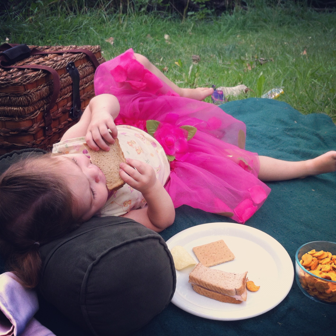 The Brighter Writer: The Perfect Picnic