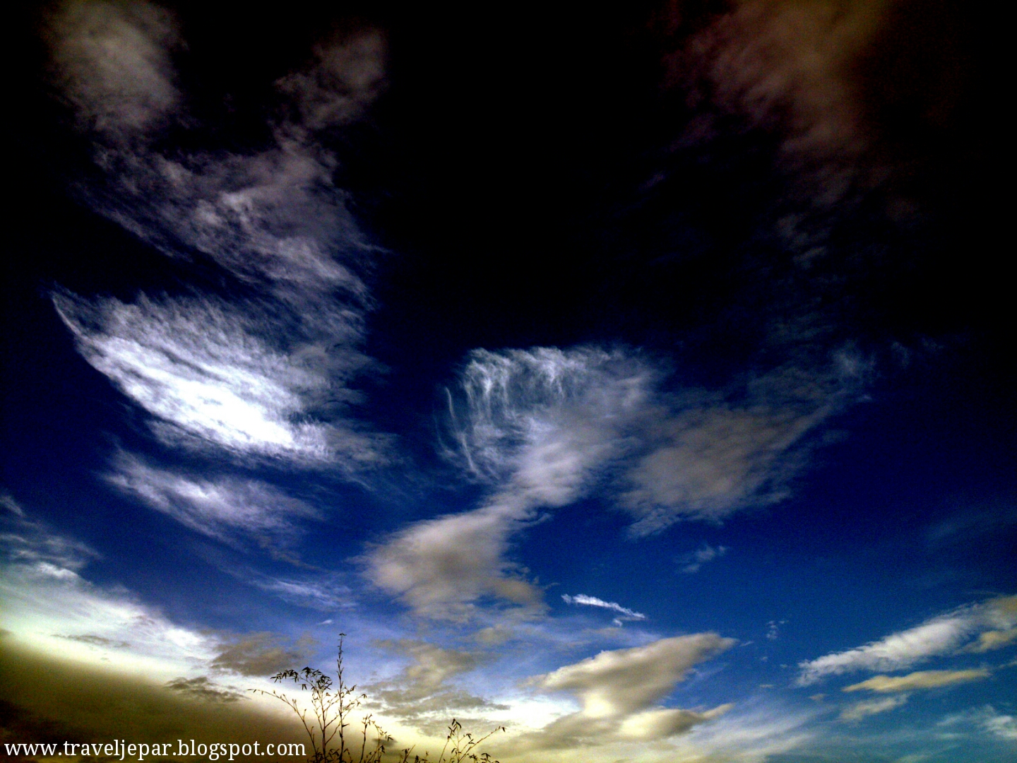 Bignay Farmland | Valenzuela City