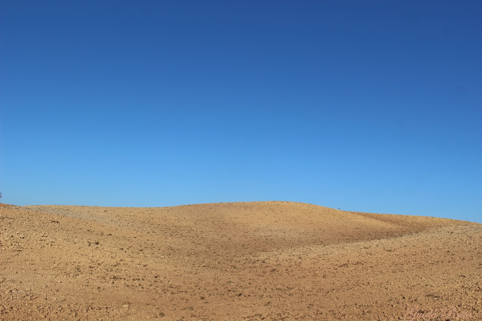 Navegantes de Ideias: Seca no Alentejo- na barragem de campilhas, são ...