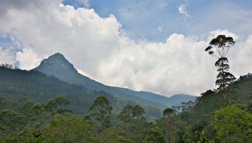Sri Pada - Adam's Peak ~ Sri Lankan Tourism