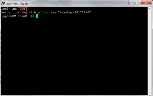Netsoftmate Technical Blog Oracle Dbcs Configure And Use Vnc Gui On Oracle Cloud Compute Node