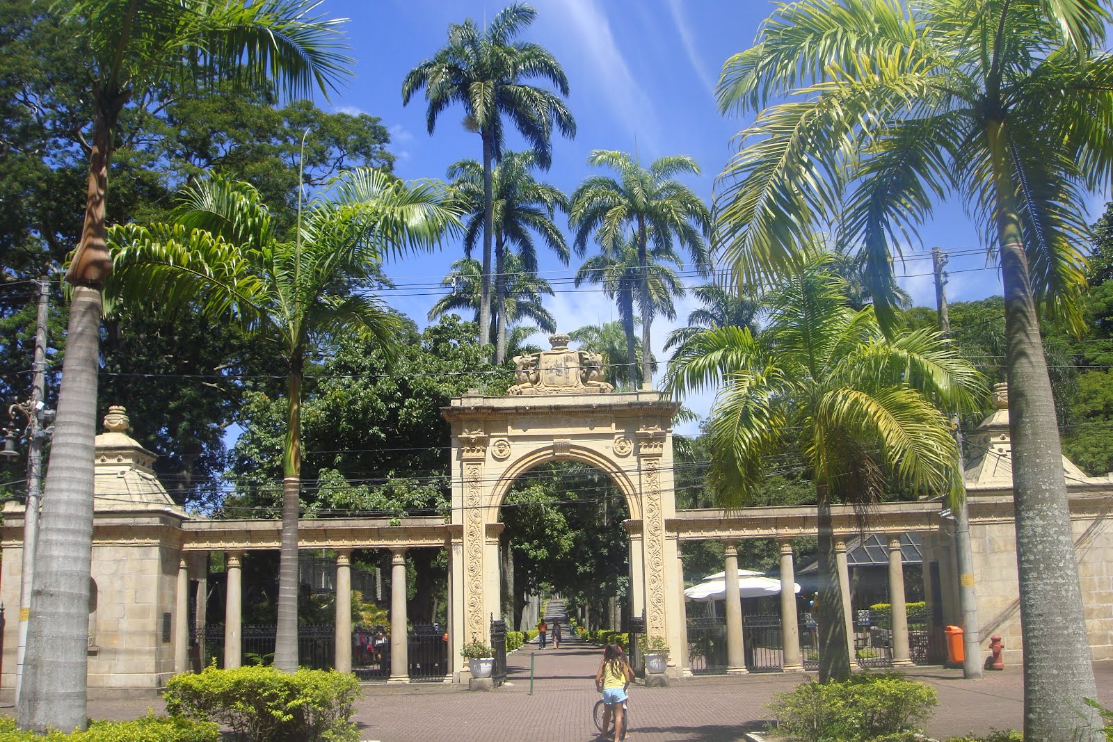 Cultivating Adventure: Rio de Janeiro: The Zoo and the National Museum
