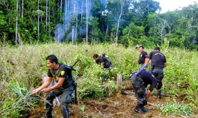 "Group 10 Noticías-Huancayo": El VRAEM es el epicentro del narcotráfico ...