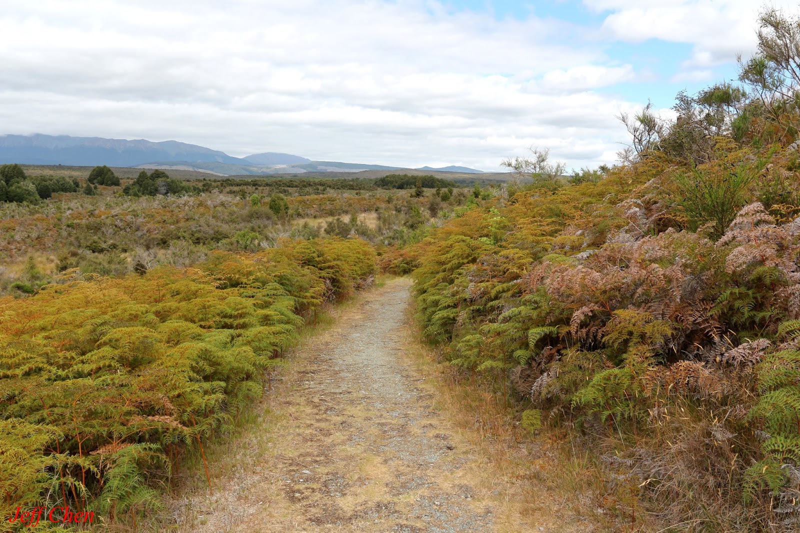 Jeff Chen旅遊登山攝影: Lake Mistletoe, Te Anau Downs, Milford Road, New Zealand