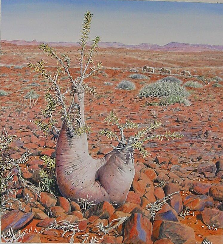 Gerhard Marx: Artwork