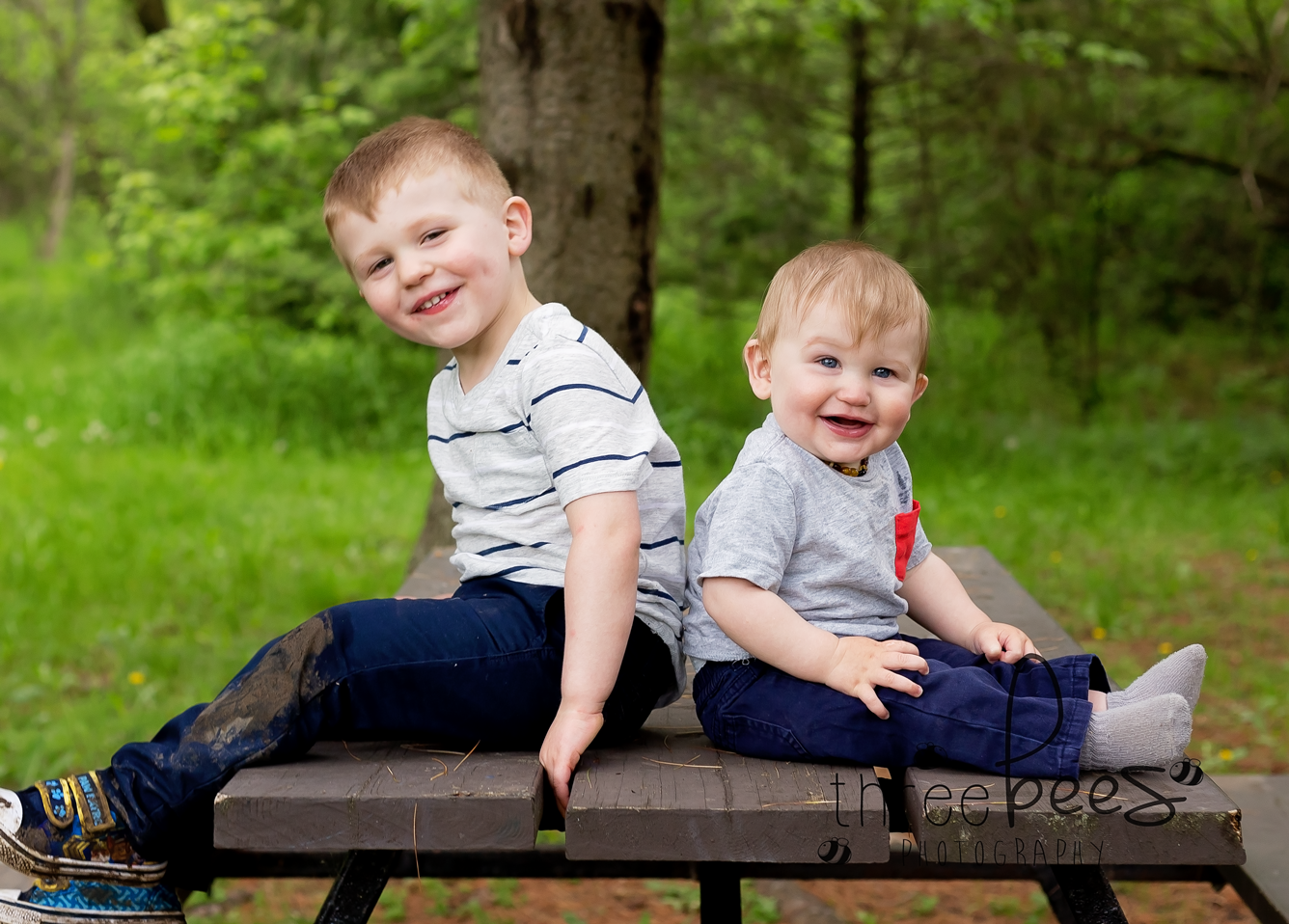 Three Bees Studio ~ Photography & Design: Family Session in the Park ...