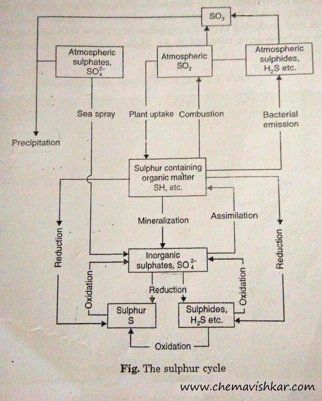 NUTRIENT CYCLE - SULPHUR CYCLE or S CYCLE | ChemAvishKar