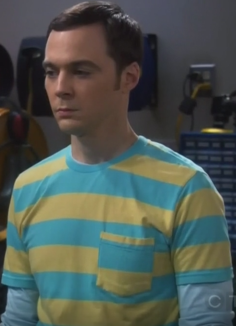 All Shirts Worn by Sheldon Cooper in The Big Bang Theory: Sheldon ...