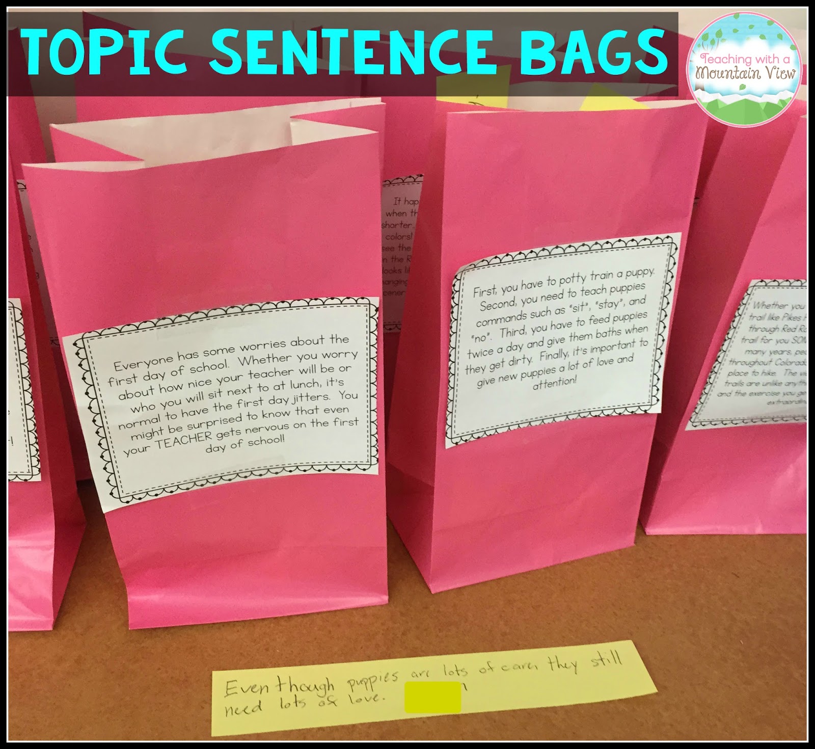 Topic Sentences | Teaching With a Mountain View | Bloglovin’