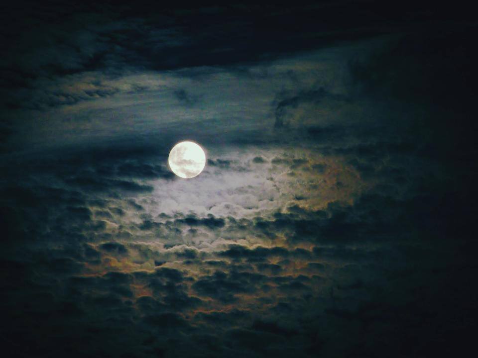 Rasuras no Papel de Parede: Brilho do Escuro Luar