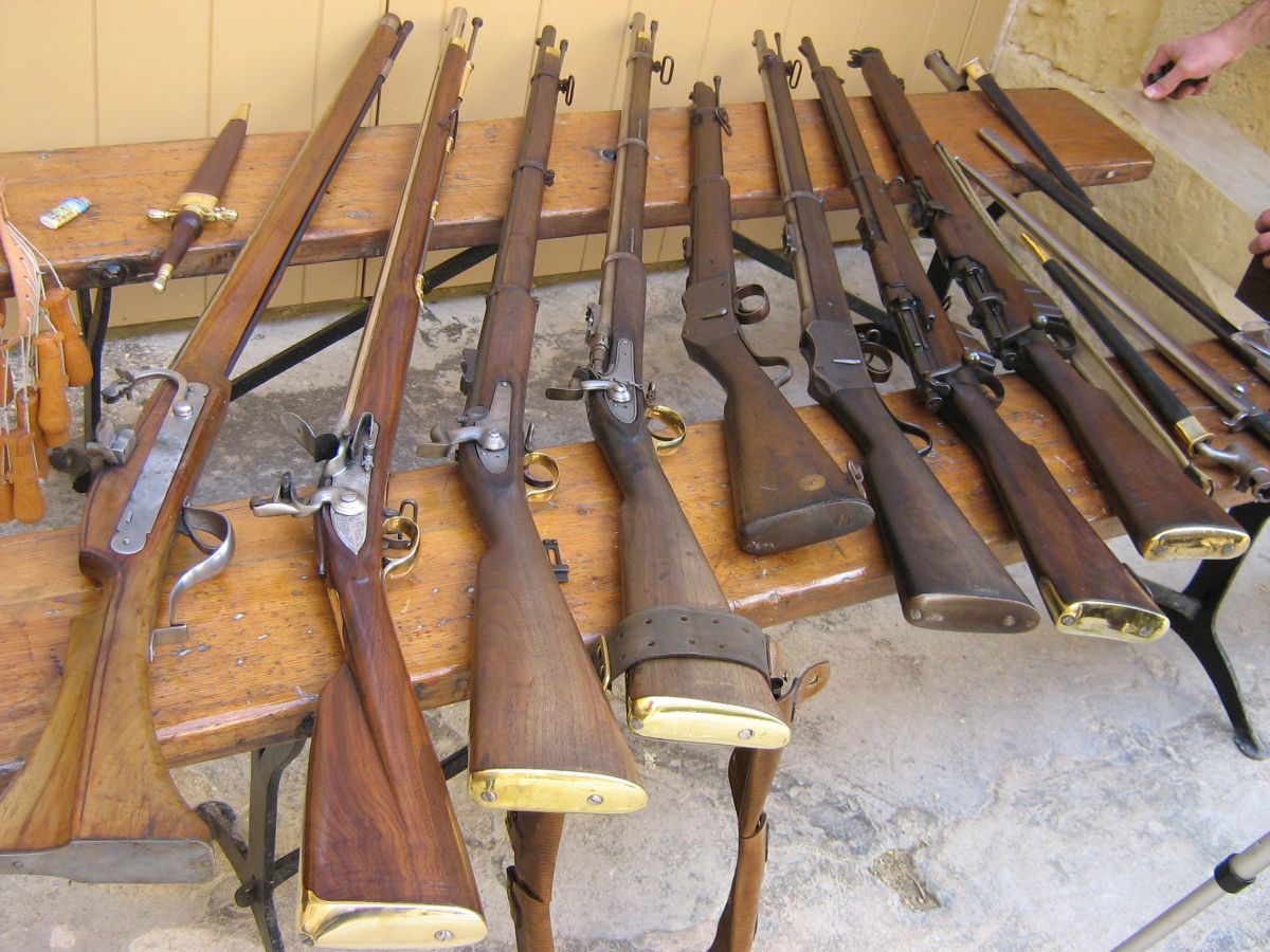 sonja: Brodici i topici