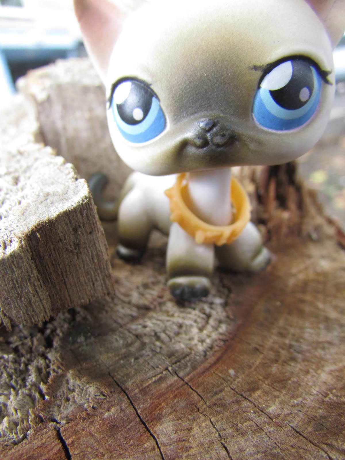 Mój świat LPS: 134. LPS: Jesienna sesja