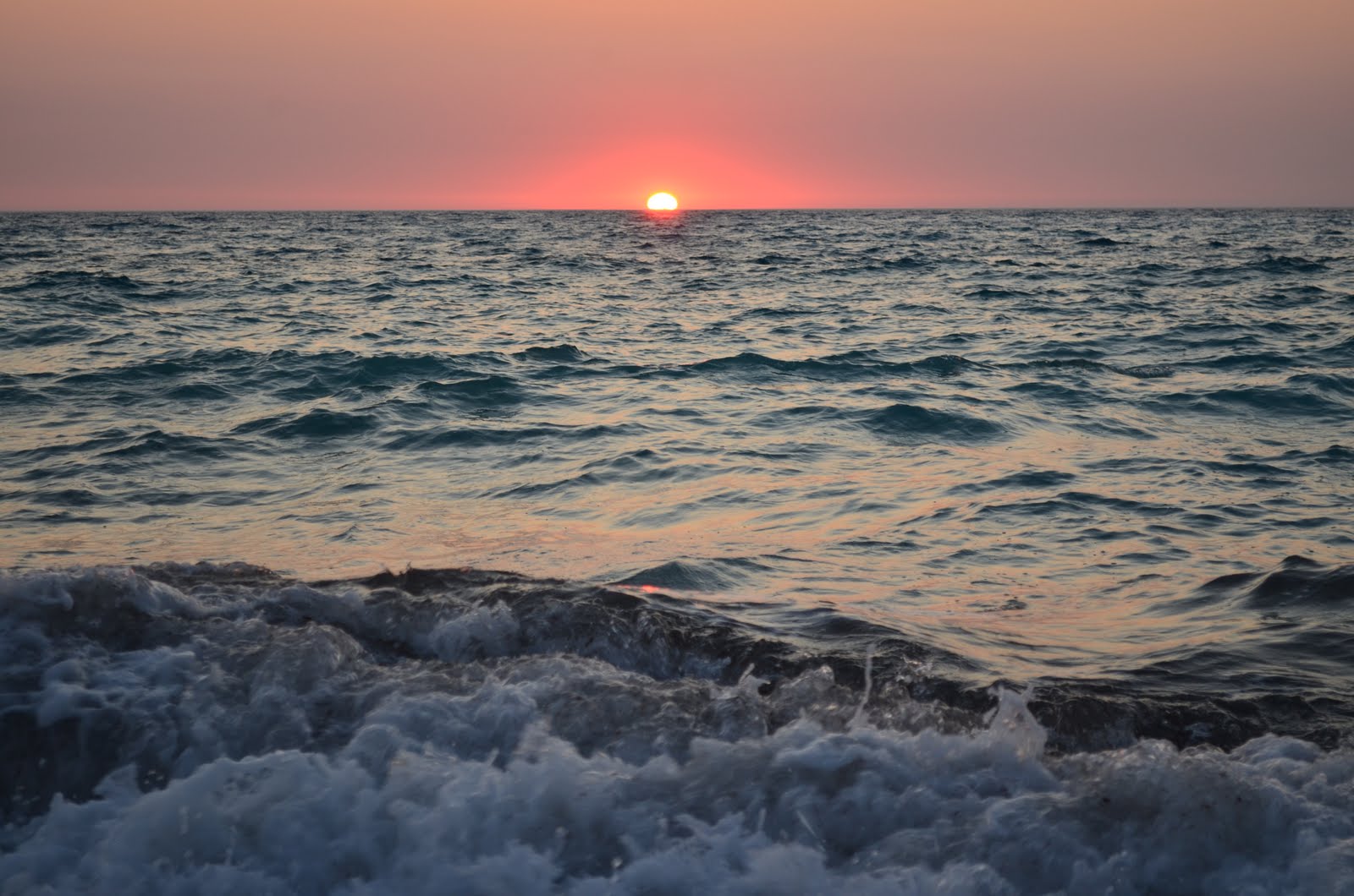 Jurnal de gradina: Apus de soare