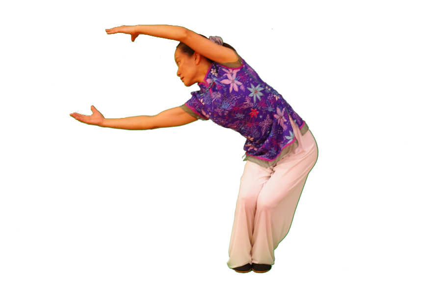 "Dans le Vent d'Ouest" : Les animateurs