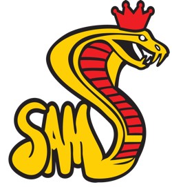 King Connections 2016-17: Our Vision, Mission and GLOs