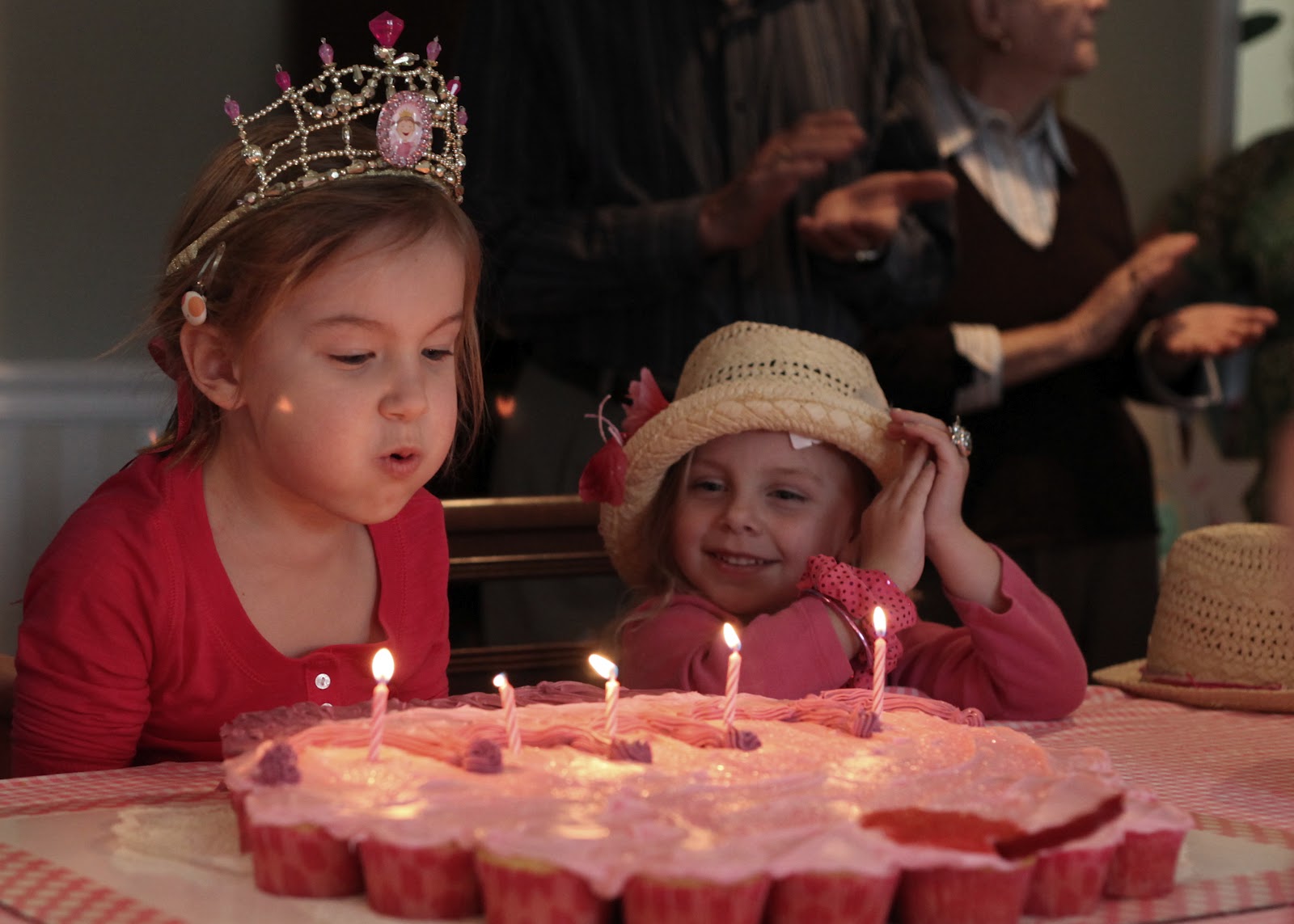 A Better Dream Pinkalicious Party Pictures